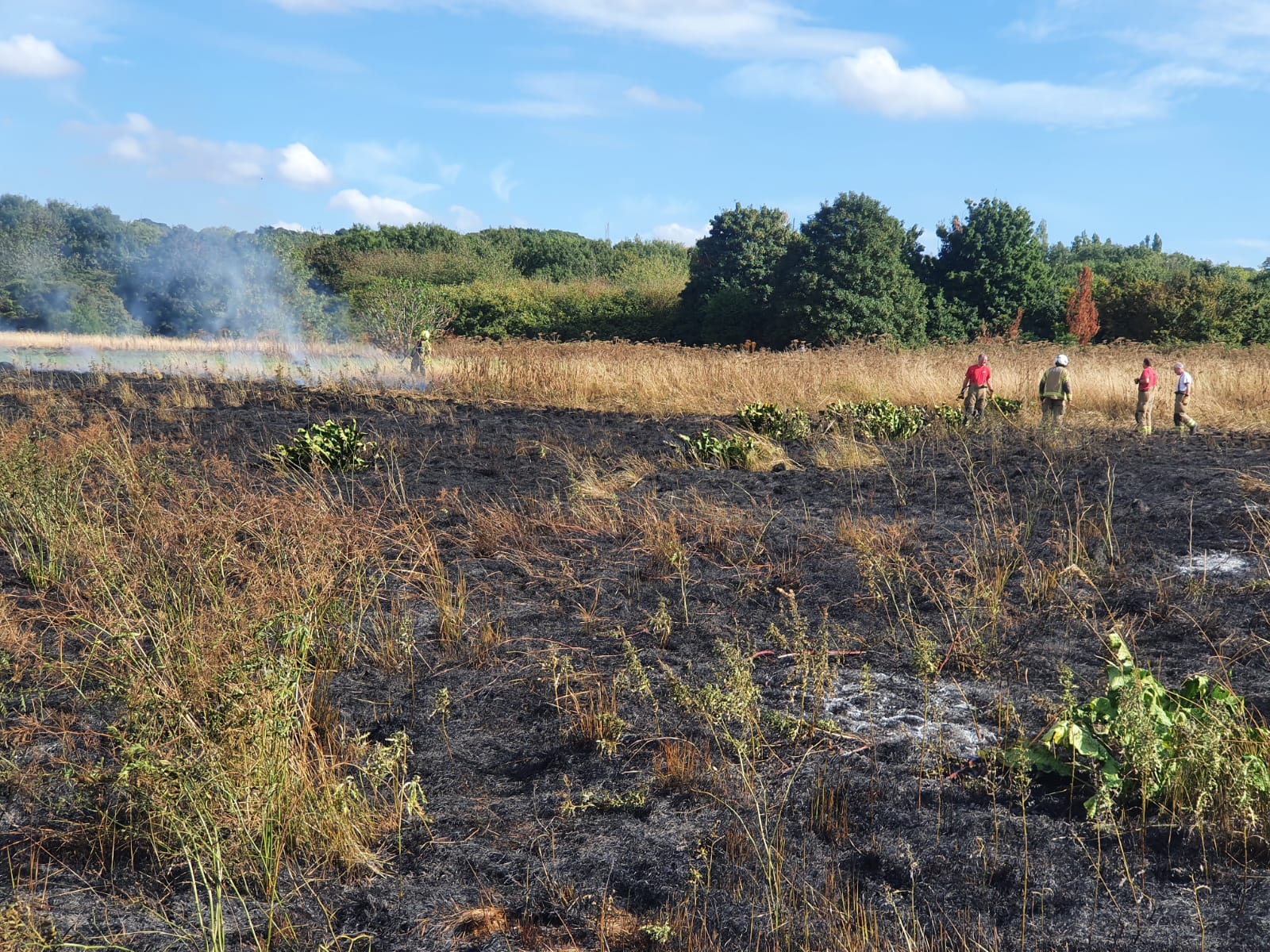 London Fire Brigade issues grass fire warning ahead of summer - Barnet Post