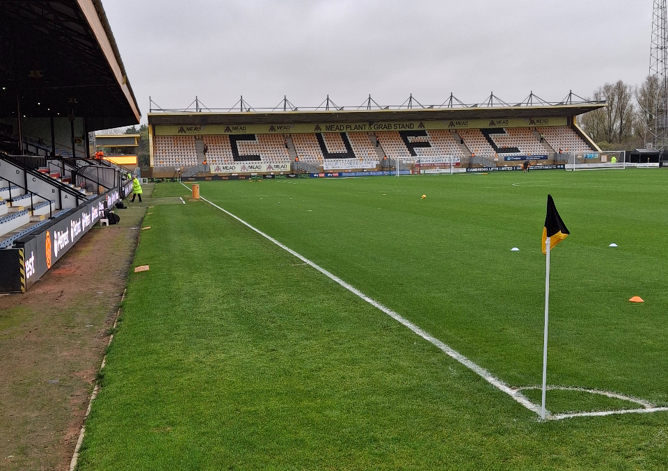 Continued progress for the Bees - Barnet Post