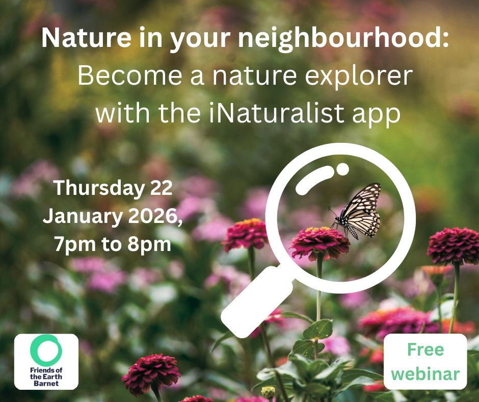 Become a nature explorer with the iNaturalist app