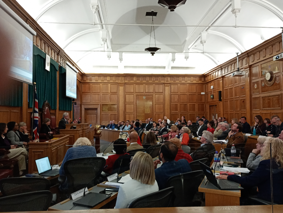 Rawlings returns after Tories abstain on leader vote - Barnet Post